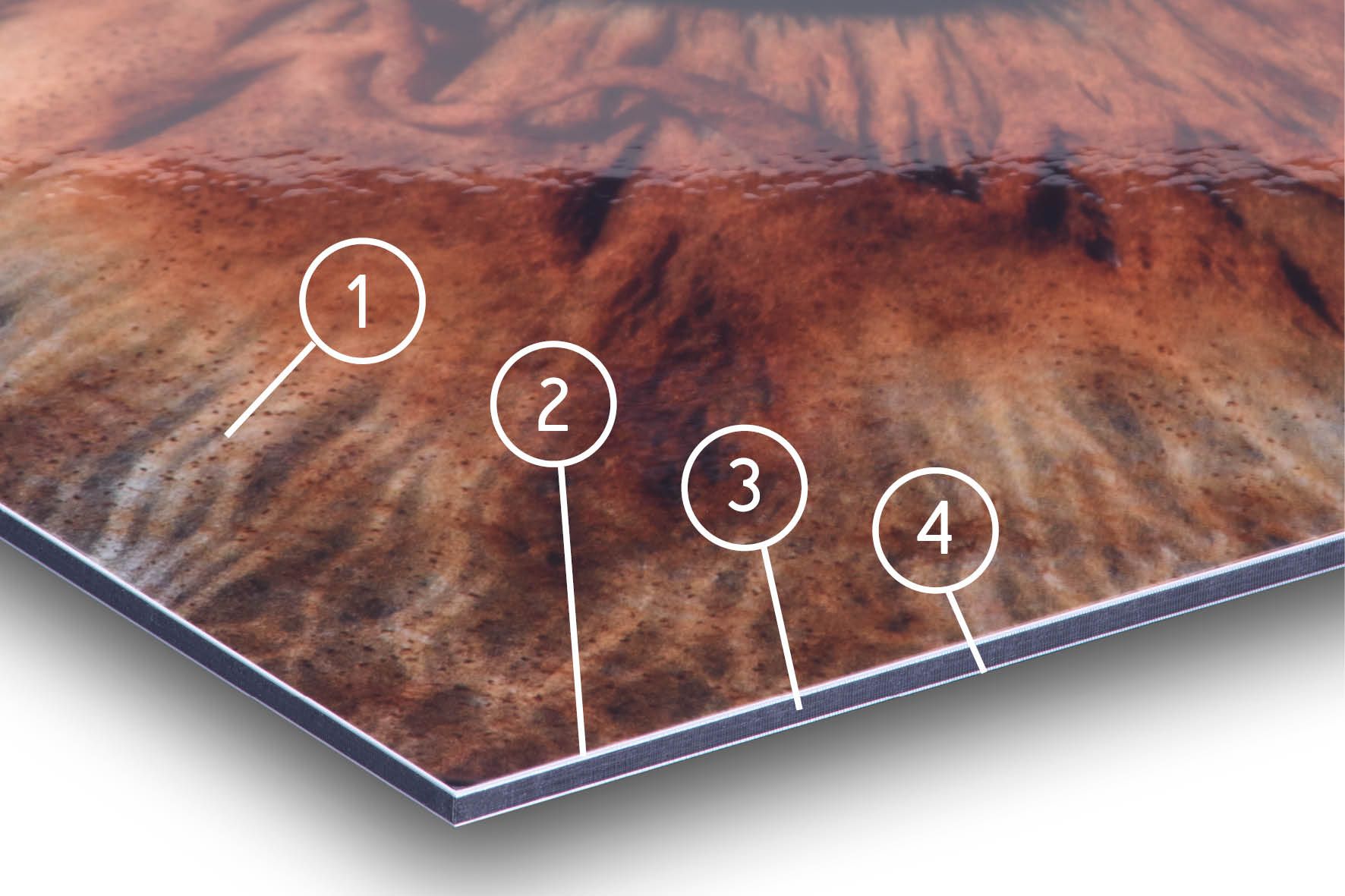 ALU DIBOND | IRISPHOTO.Art