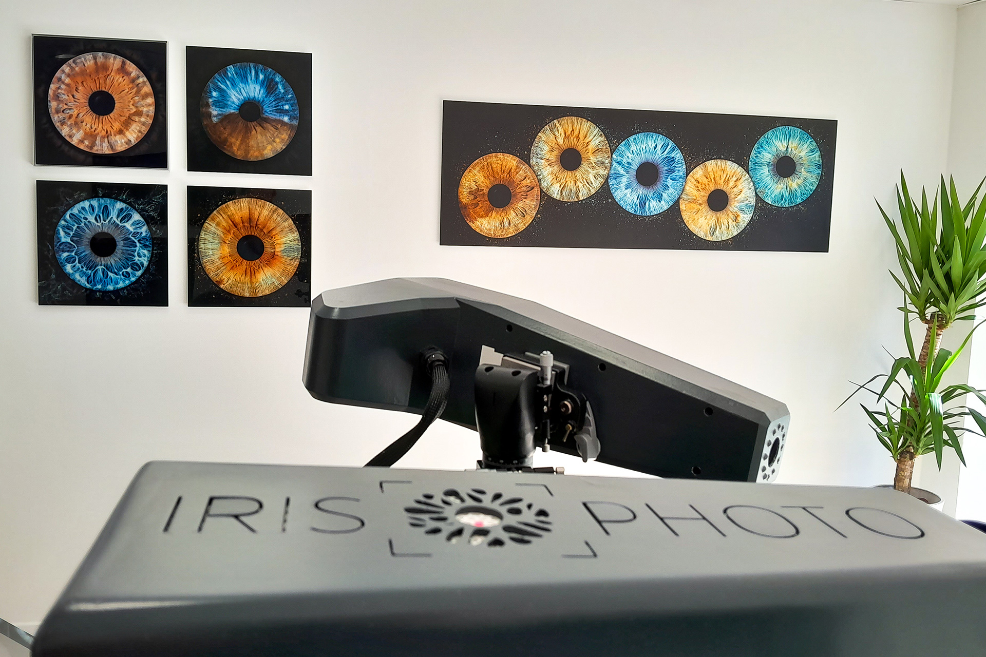 GALLERY VERSAILLES | IRISPHOTO.Art