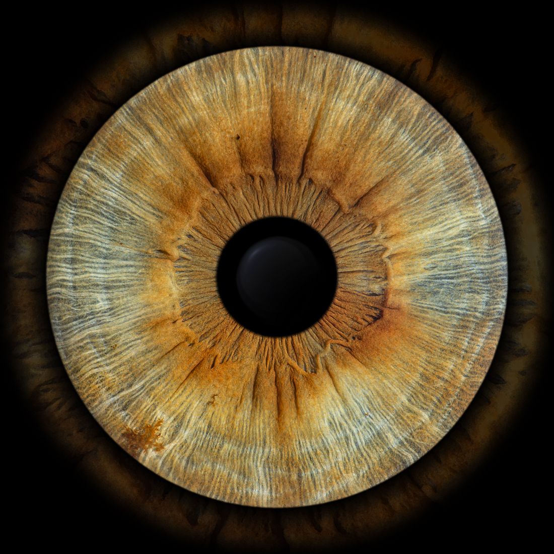 INTERIOR | IRISPHOTO.Art