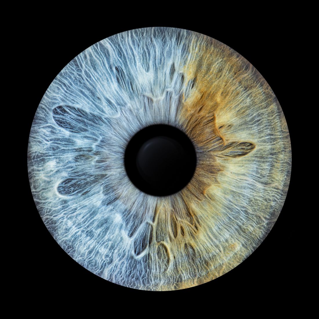 HOME | IRISPHOTO.ART