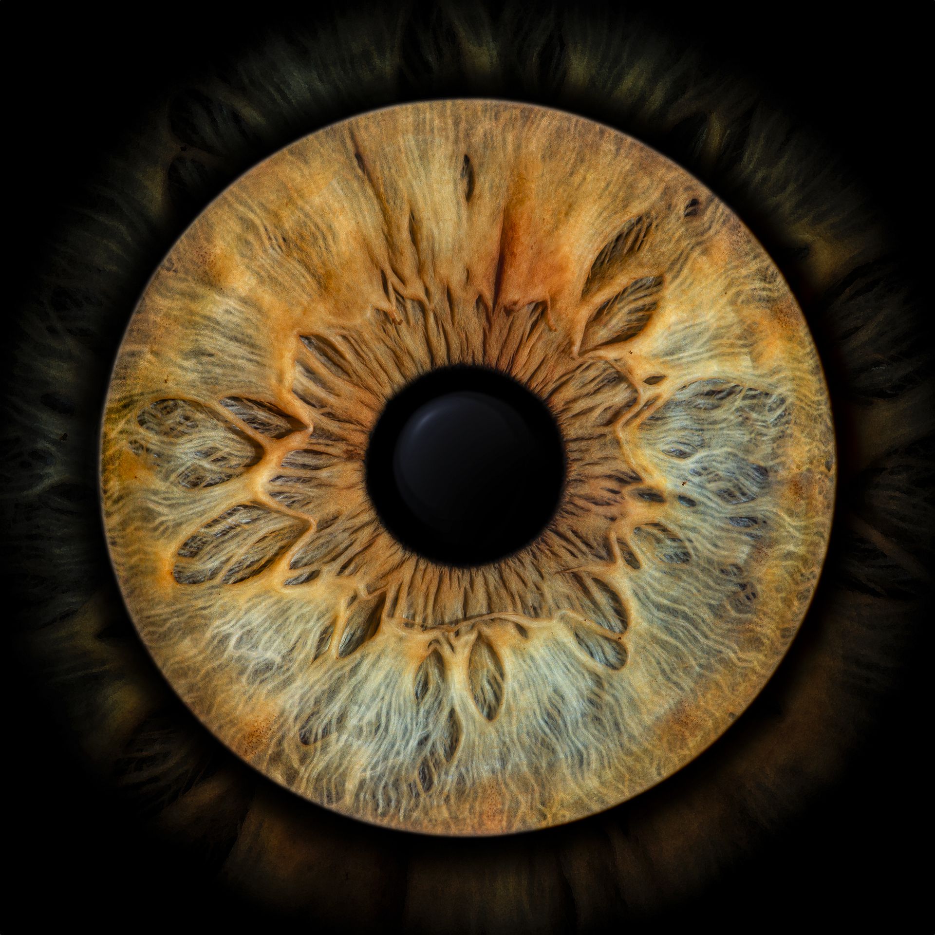 HOME | IRISPHOTO.ART