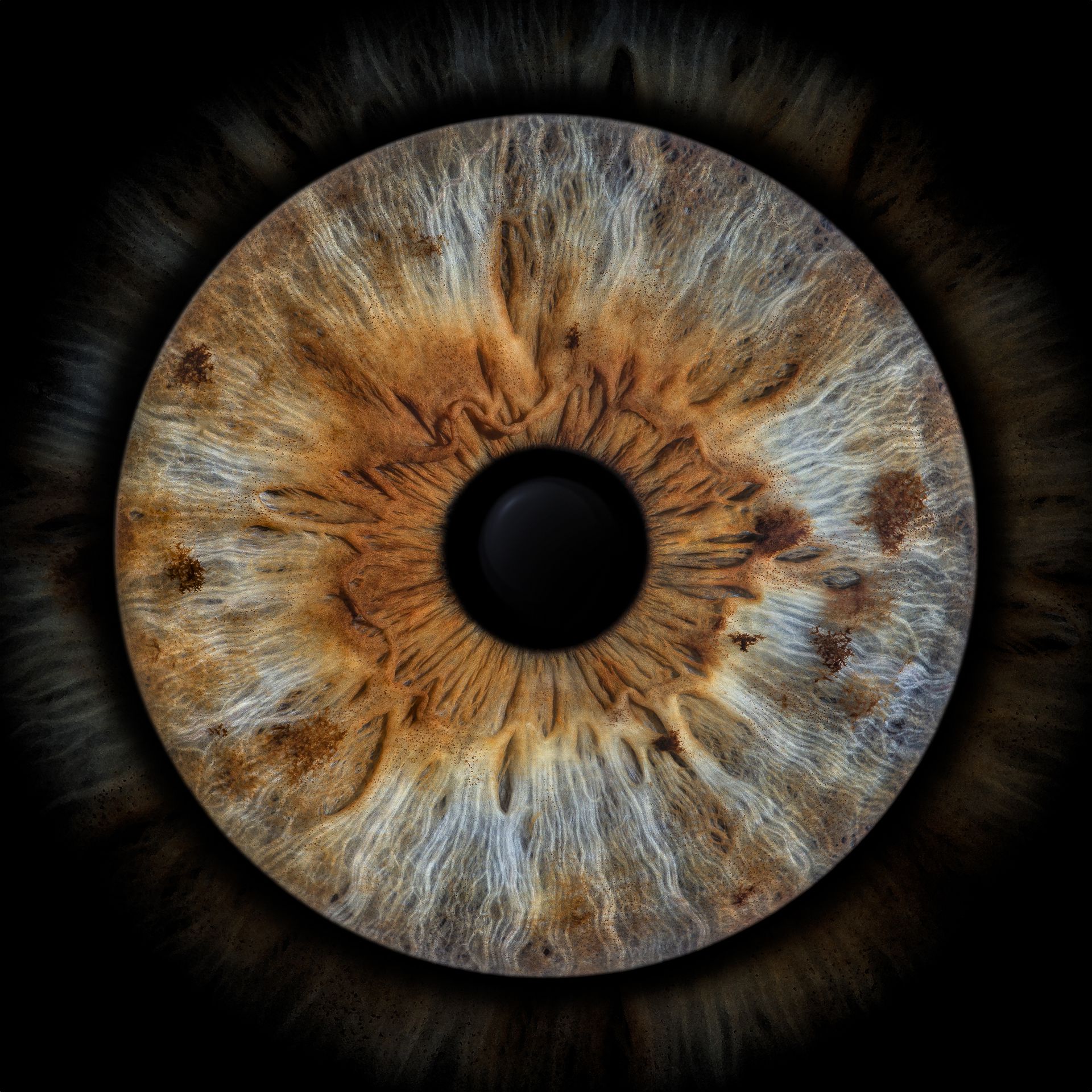 HOME | IRISPHOTO.ART