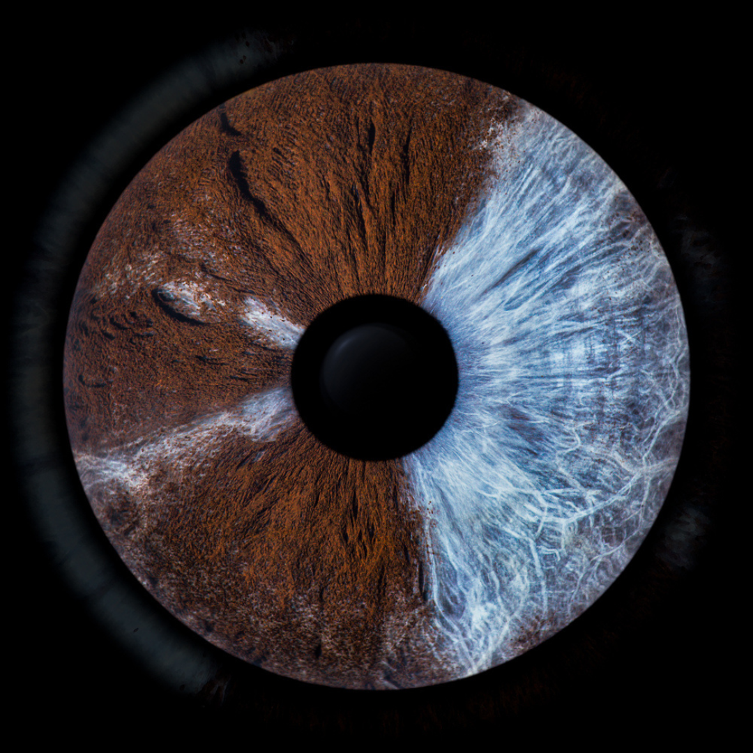 HOME | IRISPHOTO.ART