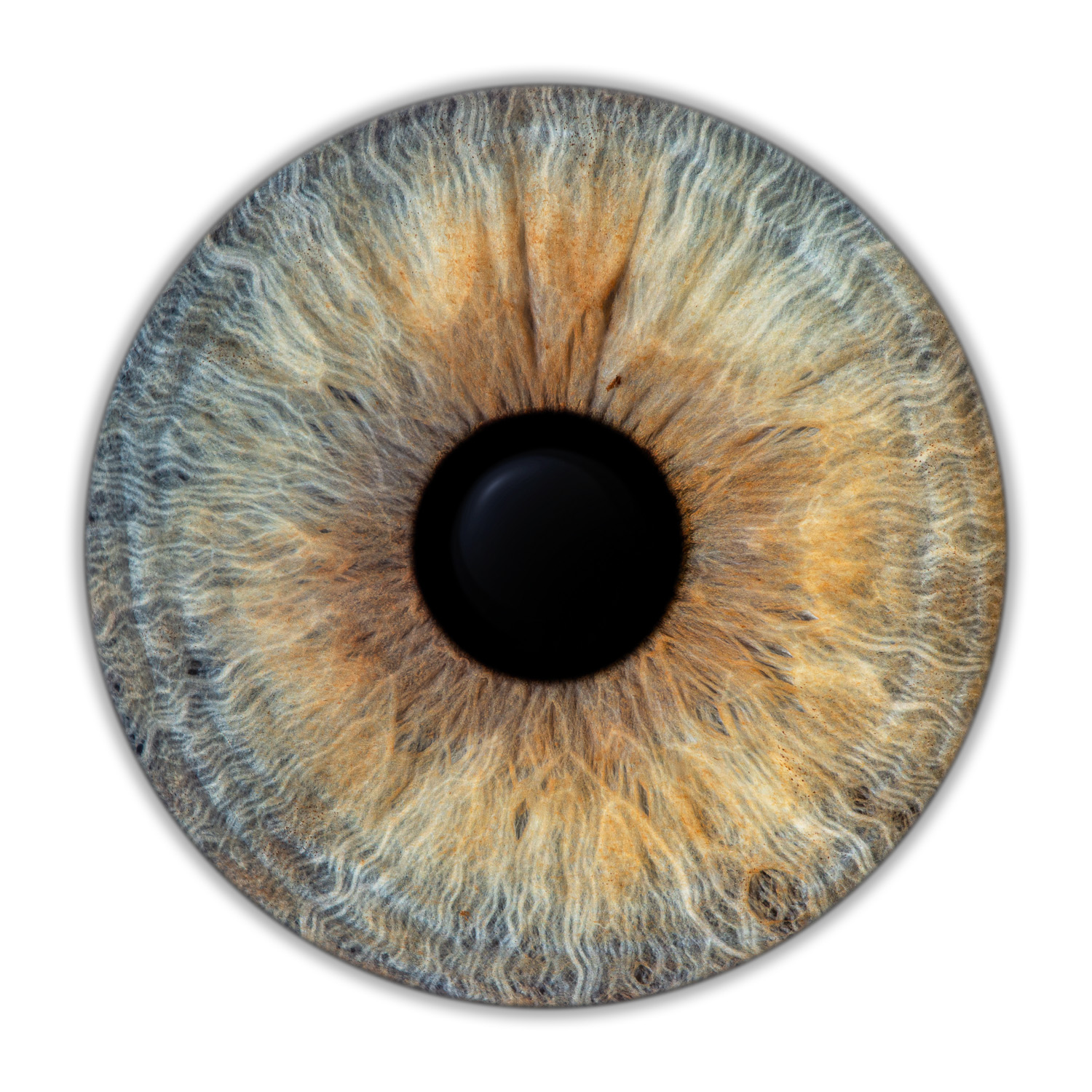 INTERIOR | IRISPHOTO.Art