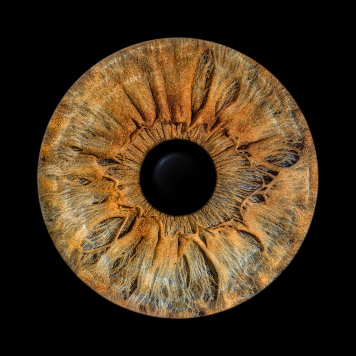 INTERIOR | IRISPHOTO.Art